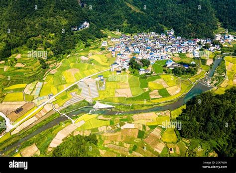 Aerial View Of Farmers Harvesting In A Field As Autumn Comes In Tujia