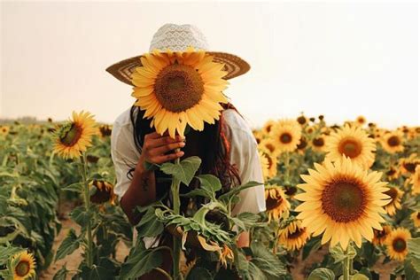 گالری مدل ژست عکس در مزرعه آفتابگردان برای ثبت عکس های خاص و ماندگار