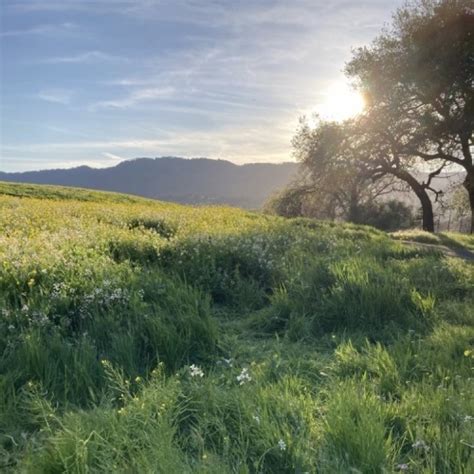 The Princess Sprite On Tumblr