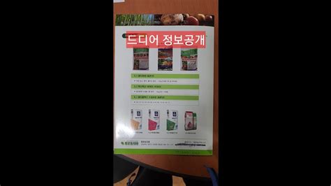 오이 애호박 많이 딸수 있는 비법이 궁금 하신가요 여기 20년 노하우 공개 Youtube