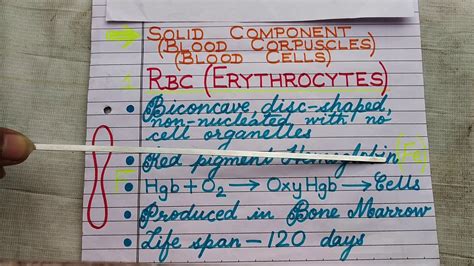 Blood Components And Functions Youtube
