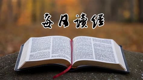 深圳市白石洲堂 官网