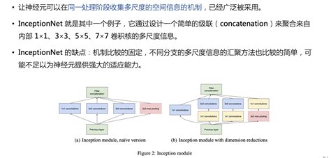 论文 selective kernel networks（sknet）解读 知乎