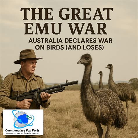 The Great Emu War Australia Declares War On Birds And Loses