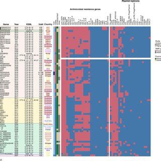 Core Genome Single Nucleotide Polymorphism SNP Based Phylogenetic Download Scientific Diagram