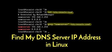 How To Find My Dns Server Ip Address In Linux Tecmint Linux Ai