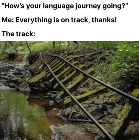 Language Memes 40 Memes For The Multilinguals