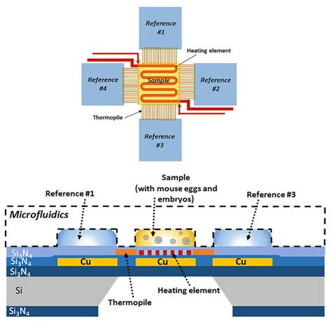 Integrating Nanocalorimetry With Microfluidics