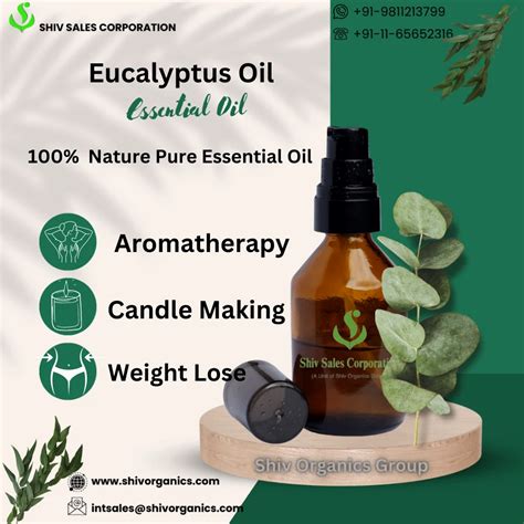 Eucalyptus Oil Nilgiri Oil 99 Pure At Rs 850 Kg In New Delhi ID