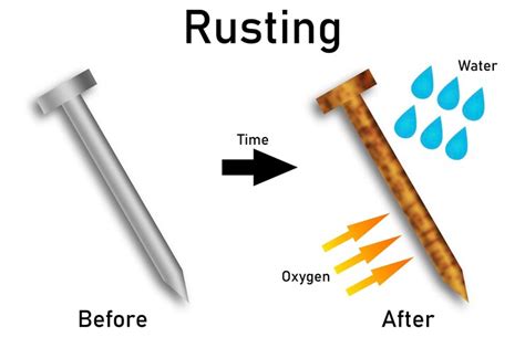 Premium Photo Rusting Of Iron Nail Experiment Diagram