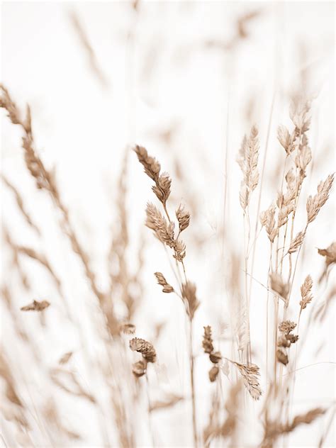 자연과 바다테마 갤러리월 포스터 Poster Store Kr