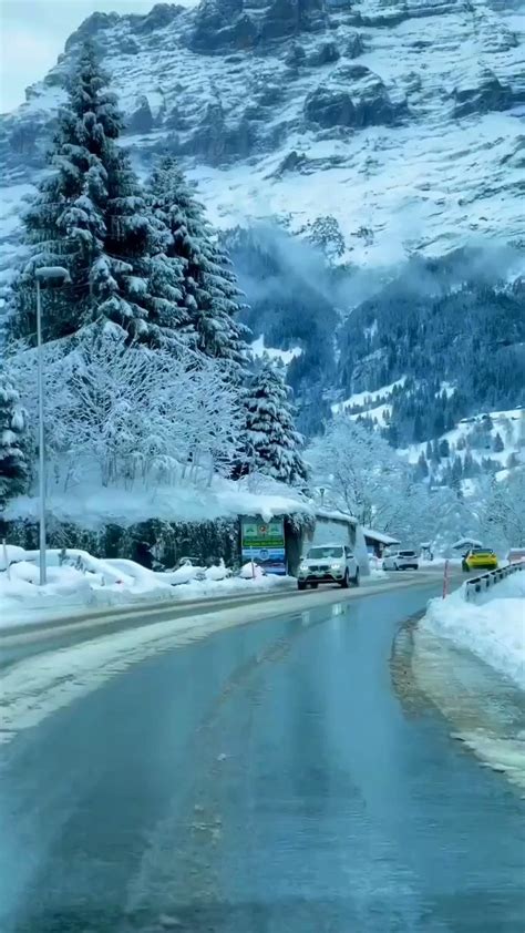 Sofía Vidal Sofiavidalneuro Twitter