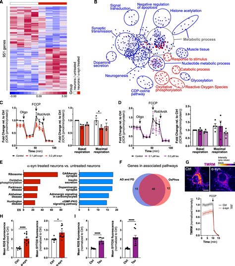 Figure 1 From Microglia Rescue Neurons From Aggregate Induced Neuronal Dysfunction And Death