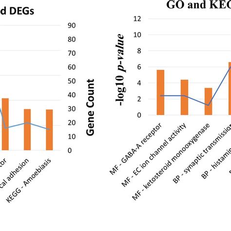 Top Three Pathways Analysis Of Molecular Function Mf Biological