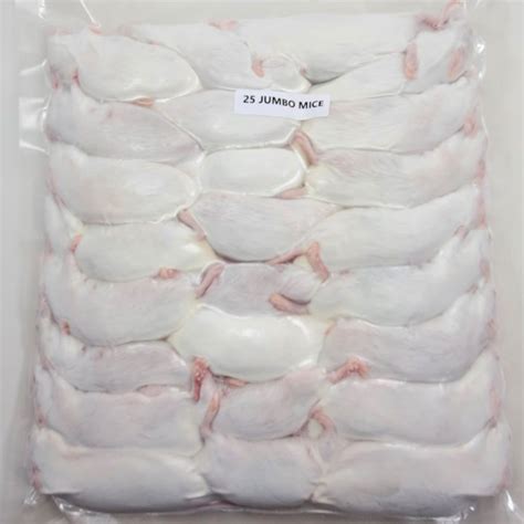 Frozen Mice Rodent King Canada