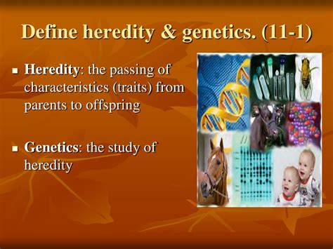 Ppt Biology 102a Powerpoint Presentation Free Download Id6519511