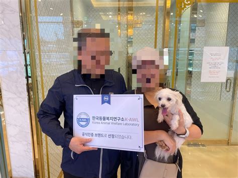 말티즈 애기 미니먼치킨전문 미니랙돌전문 미니브리티쉬숏헤어전문 미니스코티쉬폴드전문 미니러시안블루전문 미니강아지전문 미니고양이전문 토이비숑프리제분양 토이포메라니안분양 토이말티즈