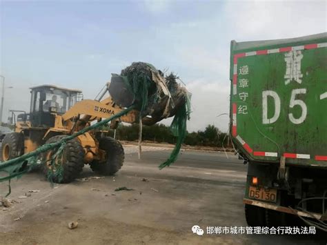 【主动作为】建筑垃圾管理处清理卫生死角 推进工作落实建设