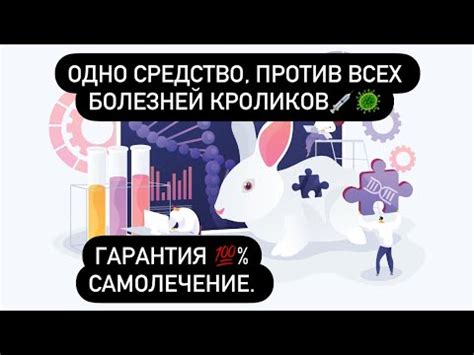 Новейшее средство, абсолютно от всех болезней кроликов. Самолечение ...