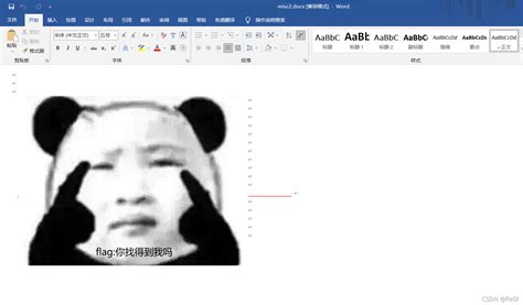 一道lsb隐写有密码的lsb Csdn博客