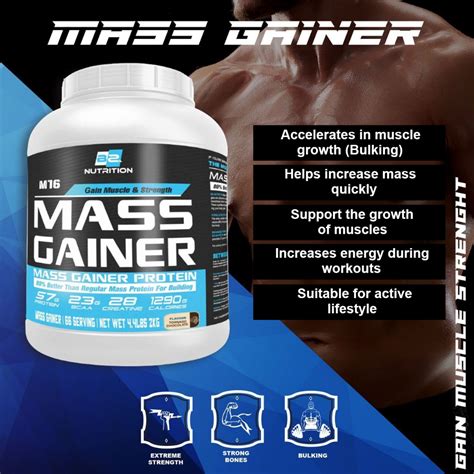 Bs Nutrition Mass Gainer 2kg 5kg Halal Build Muscle Bulk Muscles High