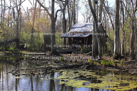 Bayou Wallpapers Top Free Bayou Backgrounds Wallpaperaccess