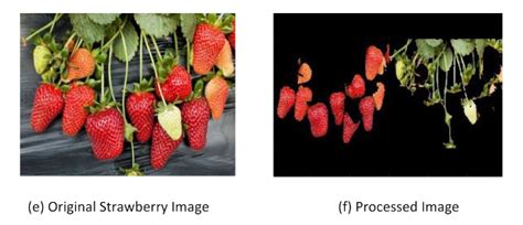 github akkocz17 image color based segmentation masking and etc