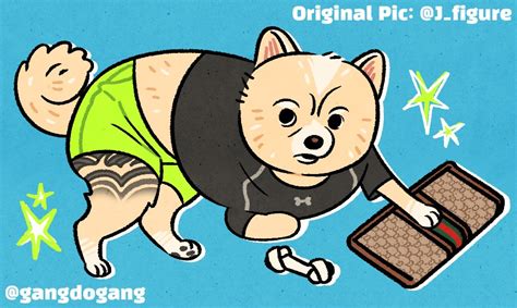 강아지 강도 On Twitter Slqpslr1qr Twitter