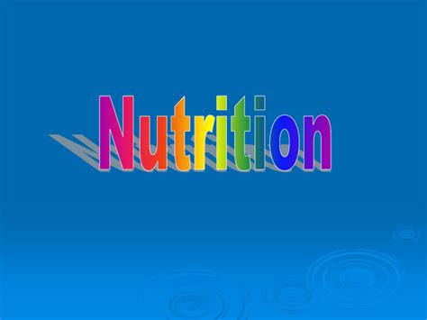 Food Pyramid Basics And Guidelines