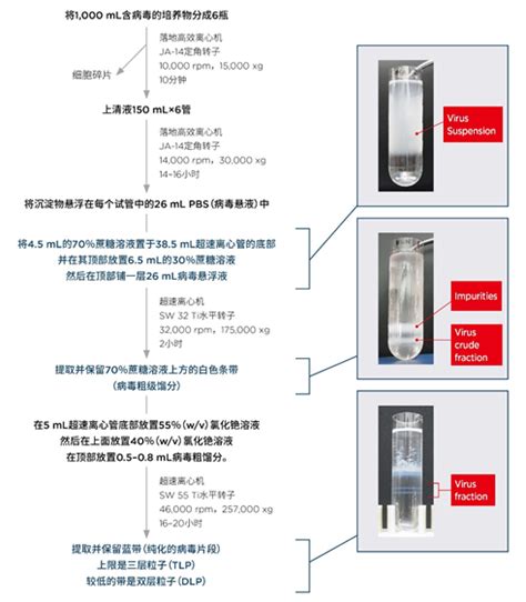 轮状病毒是什么？轮状病毒密度梯度纯化 知乎