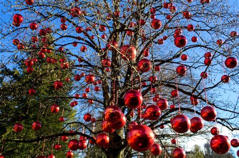 Premium Photo Christmas Decoration With Red Balls On The Tree Branches