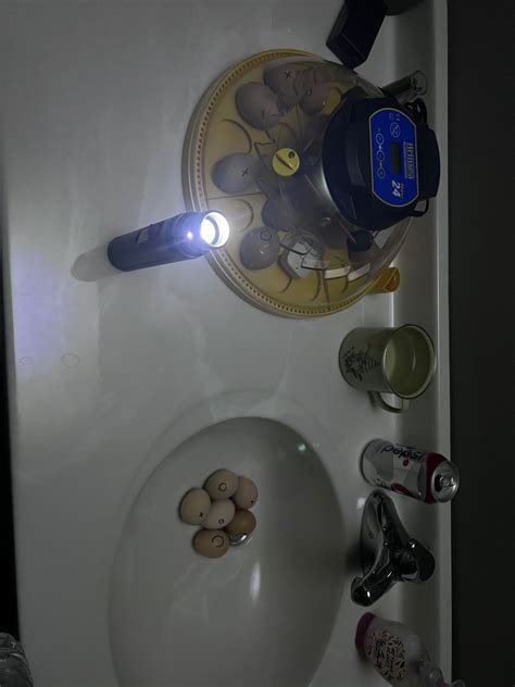 Eric Yager On Linkedin And Then There Were 15 Hatching Next Week