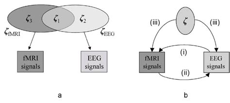 formalization of the eeg fmri coupling uncoupling a and eeg fmri