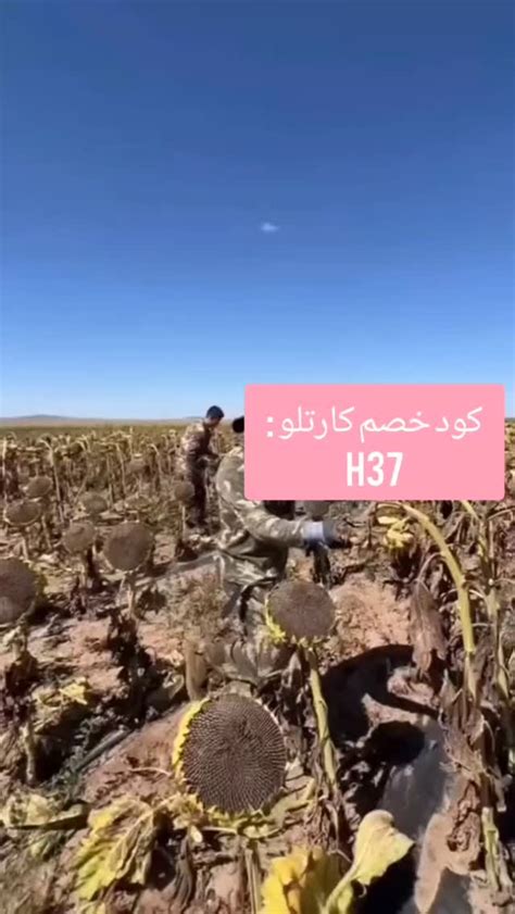 كود خصم باث اند بادي وركس Vac3 معلومات عامة هتفيدكـ كودخصمباث