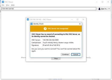 Vnc Windows
