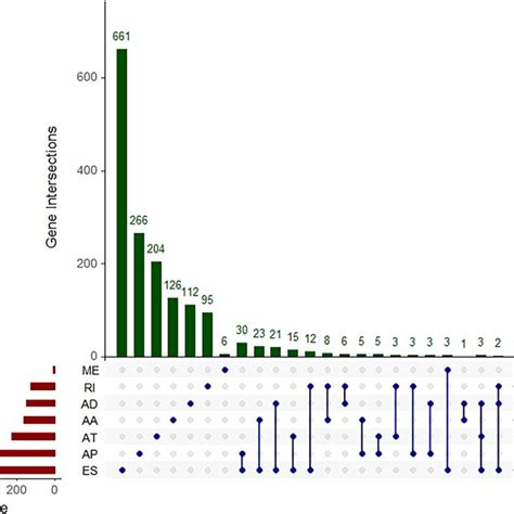 An Upset Plot Displaying The Intersections Of Different Types Of