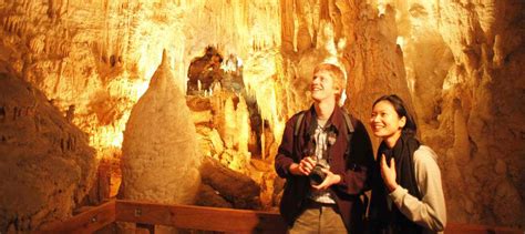 Buy Waitomo Glowworm Caves And Aranui Cave Tickets October 2025 Deals