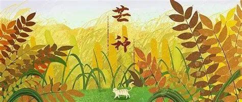芒种 愿你所种皆所得风吹麦浪雨多生 水涨江河防汛情 麦田 夏长 节气