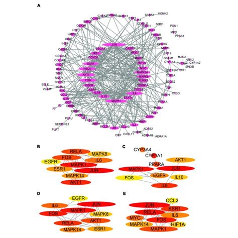 Ppi Network Visualization And Analysis A Ppi Network B The Top Download Scientific