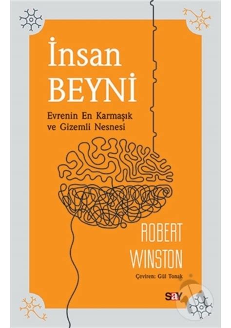 İnsan Beyni Fiyatları Ve Özellikleri