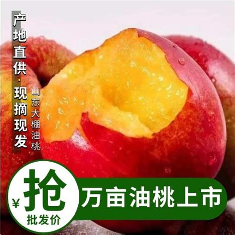 中国十大名桃排名 惠农网
