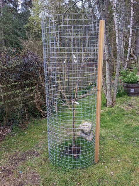 Wire Mesh Netting NEXT DAY DELIVERY Wire Fence