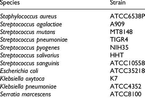 Streptococcus Species List Streptocoque Signes Cliniques Bvjh