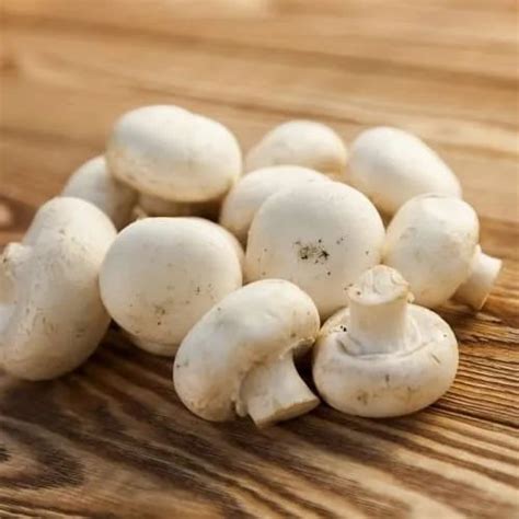 Button Mushroom At Best Price In Mumbai Maharashtra Smart Yield