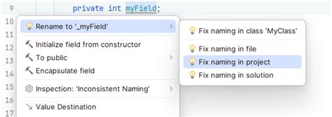 Fix In Scope Jetbrains Rider Documentation