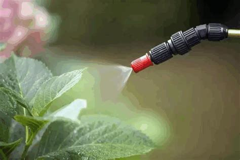intelligent fruit picking robot k2 tech