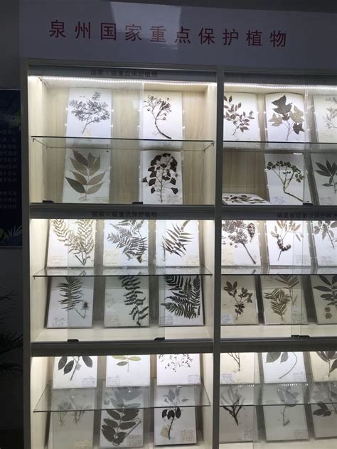 泉州师范学院植物标本室