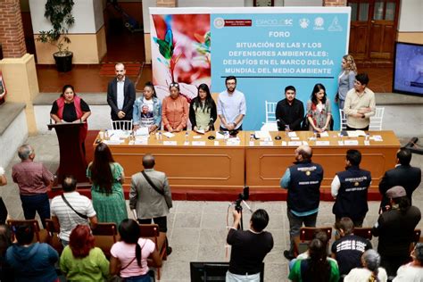 Aumenta La Violencia Contra Ambientalistas Suman 102 Muertes En México
