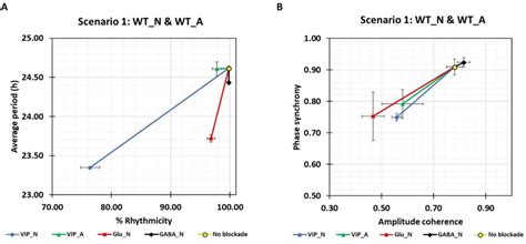 Astrocytic Modulation Of Neuronal Activity In The Suprachiasmatic Nucleus Insights From