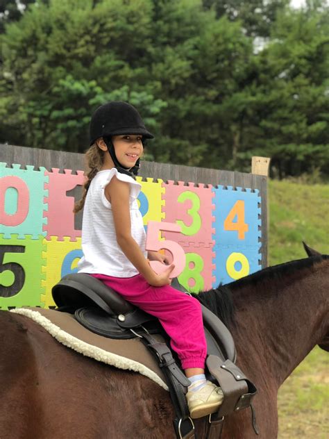 Centro De Centro De Equoterapia Passos De Liberdade